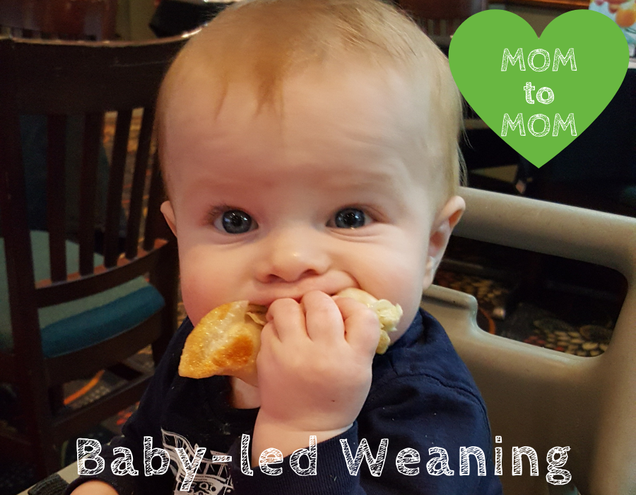 Baby-led Weaning – Mother-ease Cloth Diapers